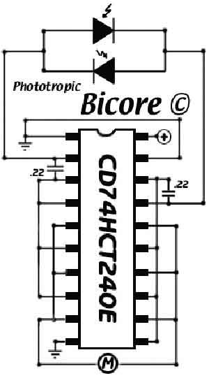 Bicore Circuits